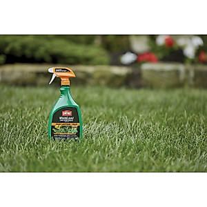 Ortho WeedClear Lawn Weed Killer Ready to Use - Weed Killer for Lawns, Crabgrass Killer, Chickweed, Dandelion, Clover & More, Fast Acting Weed Killer Spray, Kills to The Root, 24oz