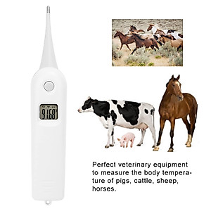 Pet Thermometer, Veterinary Electronic Pigs Cattle Sheep Dog Digital Aquarium Animal Accurate Temperature Readings with Waterproof Flexible Round Tip for Dogs Horse Cats Pigs Sheep Livestock