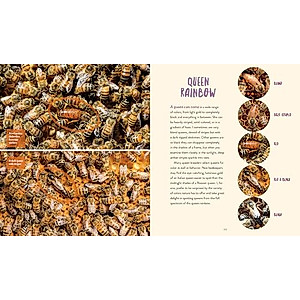 QueenSpotting: Meet the Remarkable Queen Bee and Discover the Drama at the Heart of the Hive; Includes 48 Queenspotting Challenges