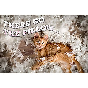 Pet MasterMind Claw Withdraw Cat Scratch Training Spray, Indoor Anti-Scratch - 4oz