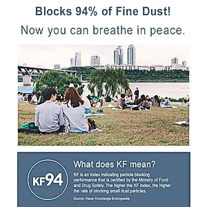 KF94 Disposable Face Safety Mask, Gray 10 Masks, Eco-Friendly Packaging - 5 Masks in 1 Pack, Breathable Mask for Adults – Good Manner