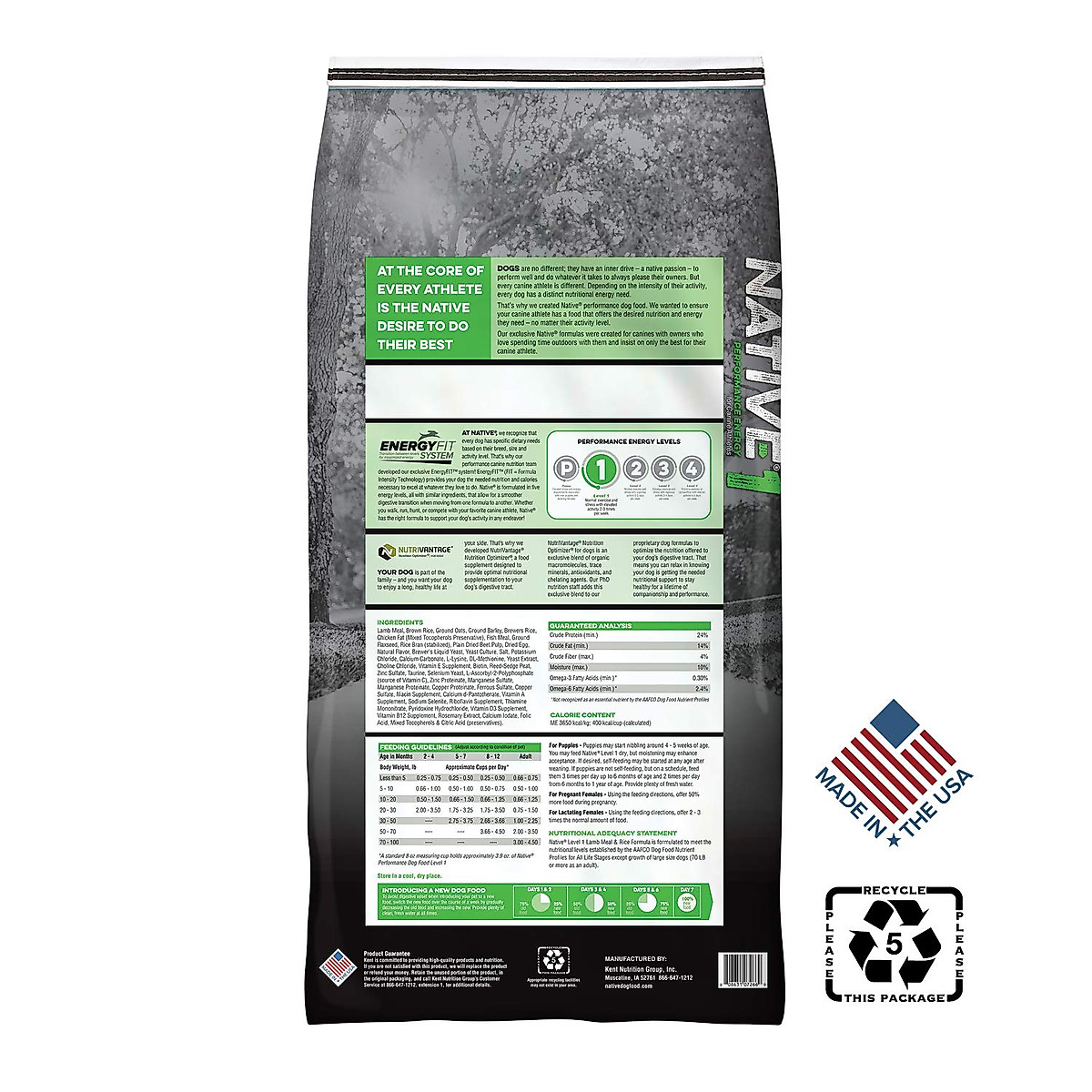NATIVE Performance Dog Food | Lamb Meal and Rice Formula | No Filler or Bi-Products | Low to Normal Energy Level 1 | 40 Pound Bag