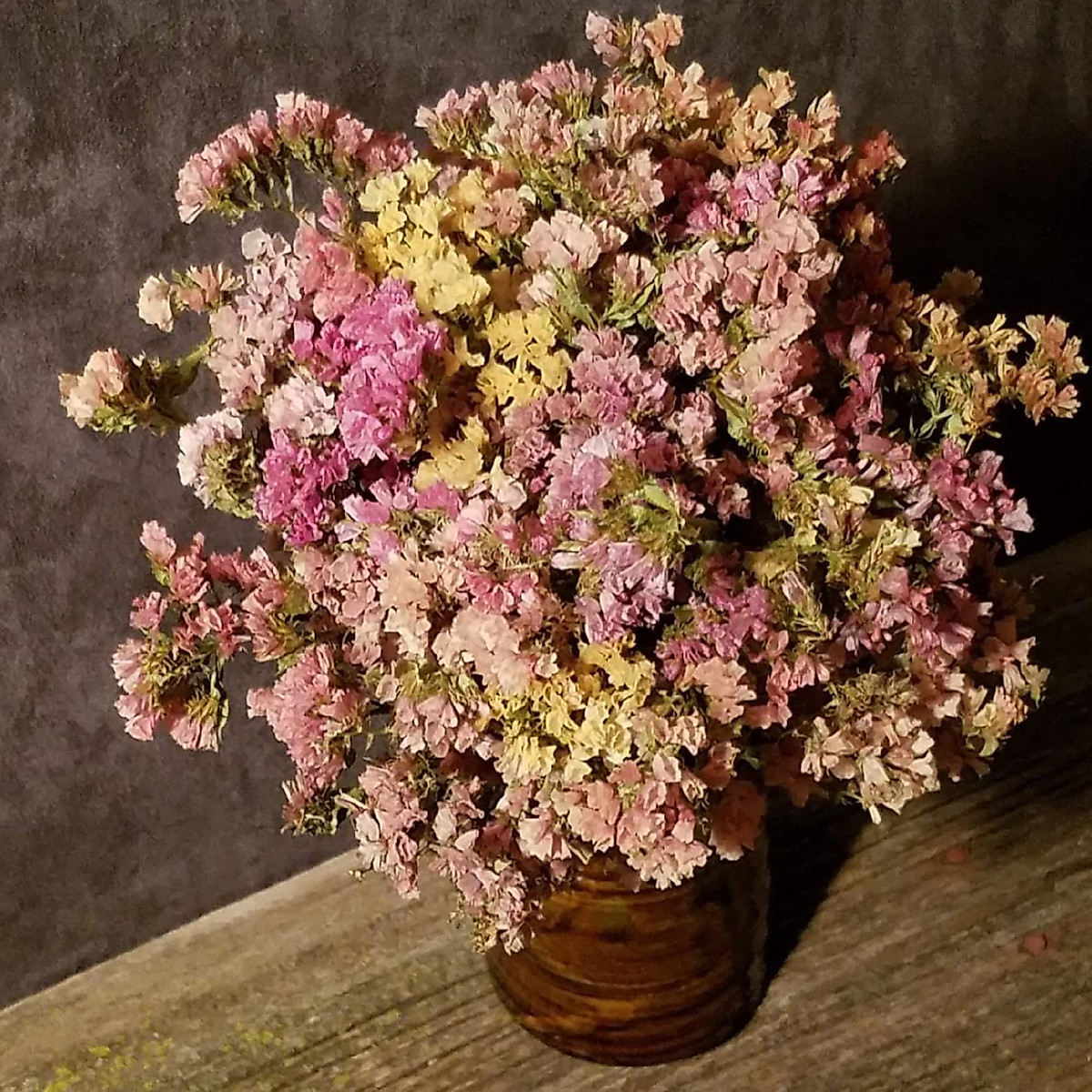 CHUXAY GARDEN Sunset Mix Limonium-Statice,Caspia,Sea-Lavender,Marsh-Rosemary 500 Seeds Great for Dried and Cut Flower Everlasting Flowers Fast Growing & Maintain