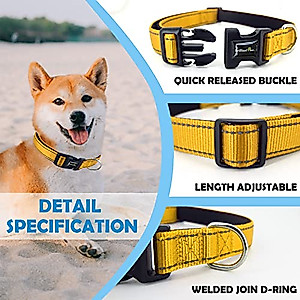 Brilliant Paw Reflective Dog Collar, Adjustable Nylon Collar, Strong Yet Comfortable, Safety Locking Buckle, Length Adjustable for Small Medium and Large Dog