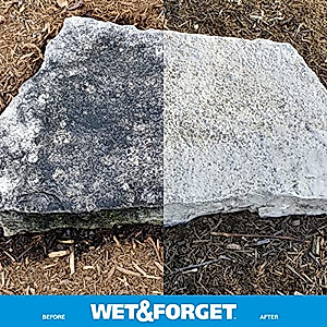 Wet & Forget Outdoor Moss, Mold, Mildew, & Algae Stain Remover Multi-Surface Cleaner, Ready to Use, 64 Ounce