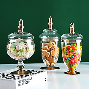 Set of 3 Clear Glass Apothecary Jars with Lids, Bathroom Canisters, Vanity Organizers, Candy Buffet, Wedding Display