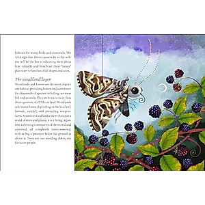 We Are the ARK: Returning Our Gardens to Their True Nature Through Acts of Restorative Kindness