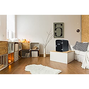 Frigidaire EFMIS175-BLACK Portable Mini Fridge-Retro Extra Large 9-Can Travel Compact Refrigerator, Black, 6 Liters