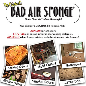 Bad Air Sponge 2lb. Container (3002N)