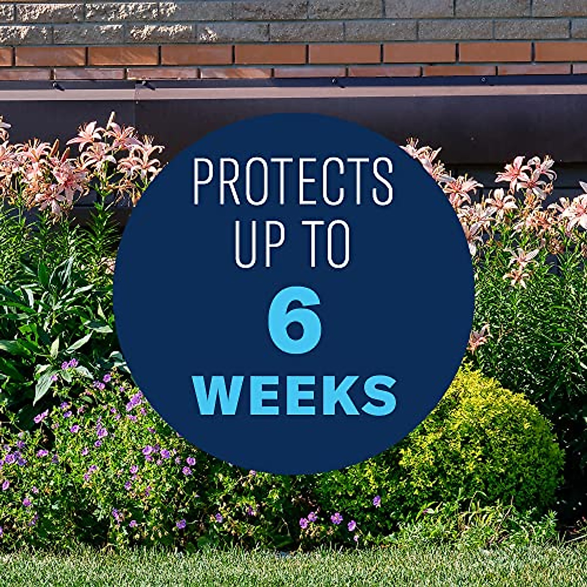 BioAdvanced Shrub Care Protect & Feed, Granules, 4 lb.