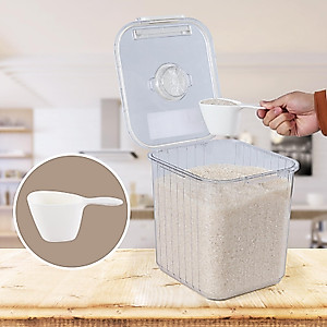 Ggbin 22 LBs Plastic Rice/Cereal/Grain Food Storage Container Bin with Measuring Scoop, Clear
