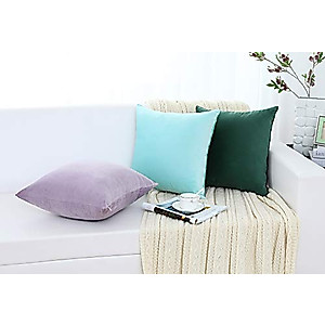 Jeneoo Comfy Soft Velvet Throw Pillow Covers for Sofa Couch, Decorative Solid Square Cushion Cases for Bedroom Car (Dusty Rose, 16 x 16 Inches, 2 Pieces)