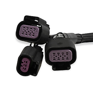 MSD 2 Step 2016 1/2 New 5.0 Rev Limiter