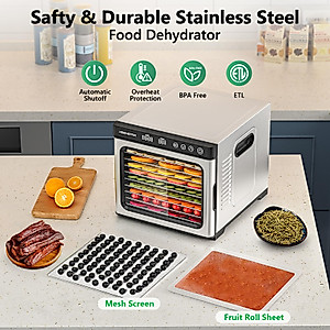 KEENSTAR Food Dehydrator for Jerky 1000W, 9 Stainless Steel Trays, 165℉ Temperature Control, 8.7ft² Drying Space, 48H Timer, Dryer Machine for Dog Treats, Herb, Veggies, Meat, Fruit