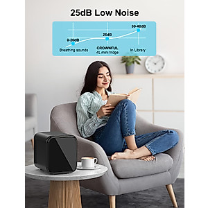 CROWNFUL Mini Fridge, 4 Liter/6 Cans Portable Skincare Fridge, AC/12V DC Cooler and Warmer Personal Refrigerator for Bedroom, Car, Dorm, Office, Food, ETL Listed Black