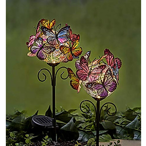 Solar Garden Decorative Light Outdoor - [2 Pack] Butterfly Decor Waterproof LED Stake Light for Garden, Lawn, Patio or Courtyard Decorations (Warm White)
