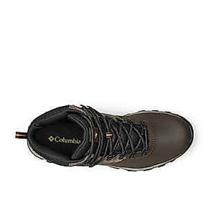 Columbia mens Newton Ridge Plus Ii Waterproof Hiking Boot, Cordovan/Squash, 9 US