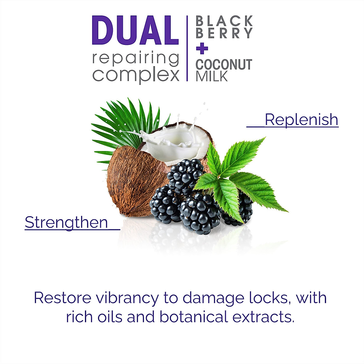 GIOVANNI 2chic Ultra-Repairing Shampoo Set - For Damaged, Over-Processed Hair, Helps Restore Hair's Natural Elasticity, Blackberry & Coconut Oil, Argan, Shea Butter, Color Safe - 24 Fl Oz Each