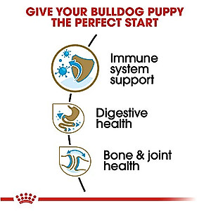 Royal Canin Bulldog Puppy Dry Dog Food, 6 lb bag