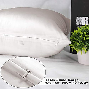 Adubor Mulberry Silk Pillowcase for Hair and Skin with Hidden Zipper, Both Side 23 Momme Silk,900 Thread Count (20x26inch, Standard Size, Ivory White, 1pc)