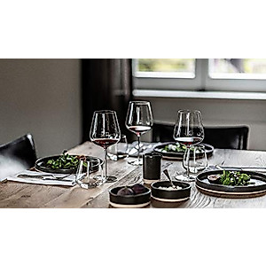 Zwiesel Glas Tritan Vervino Collection Burgundy Red Wine Glass, 32.2-Ounce, Set of 6