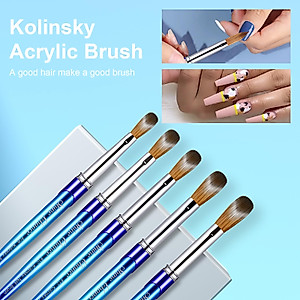 Shine Chance Acrylic Nail Brush Size 8, 100% Pure Kolinsky 3D Art Nail Brush with Gradient Blue Handle, Art Design Powder Nail Brush Pen for Nails Extension & Carving, Acrylic Application Tools