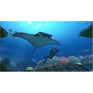 Endless Ocean: Dive, Discover, Dream (Renewed)