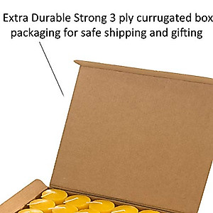 Votive Citronella Candles Summer Scented Indoor Outdoor Use - Authentic Citronella Oil - 10 Hour Burn time - Yellow, Set of 72 (Glass Holders Not Included)