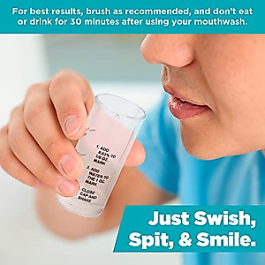 Perio Maintenance Alcohol Free Mouthwash – Concentrated Mouthwash for Bad Breath, Plaque, Sensitive Teeth, and Gingivitis or Gum Disease - Fresh Mint Flavored Fluoride Rinse by Everest Oral Care