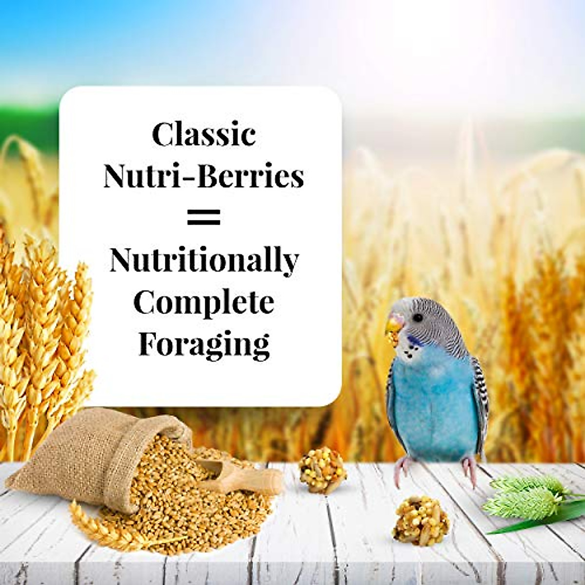 LAFEBER'S Classic Nutri-Berries Pet Bird Food, Made with Non-GMO and Human-Grade Ingredients, for Parakeets (Budgies), 4 lb