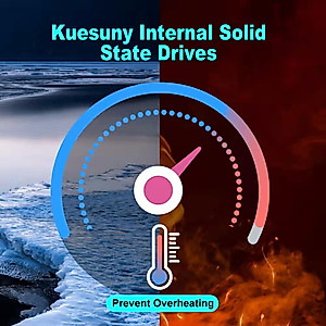 Kuesuny 256GB M.2 2280 PCIe Gen 3X4 NGFF Internal SSD, Solid State Drive, Up to 2000MB/s for Latop and PC(256GB, M.2 2280)