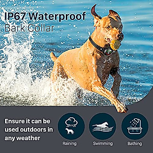 NBJU Rechargeable Anti Barking Collar with 5 Adjustable Sensitivity, Optional Beep Vibration Shock Mode, Humane Dog Training Collar for Large Medium Small Dogs, IP67 Waterproof