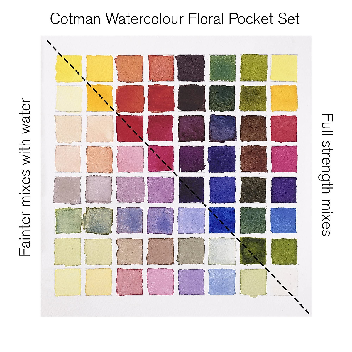Winsor & Newton Cotman Watercolor Paint Set, 8 Half Pan, Floral Colors w/ Brush