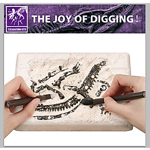 Dinosaur Fossil Dig Kit, Dino Excavation Kits for Kids, Educational Science Kits, Dinosaur Toys for Kids, Dig up 2 3D Skeleton Puzzles and 2 Dinosaur Figures Including T-Rex, Triceratops