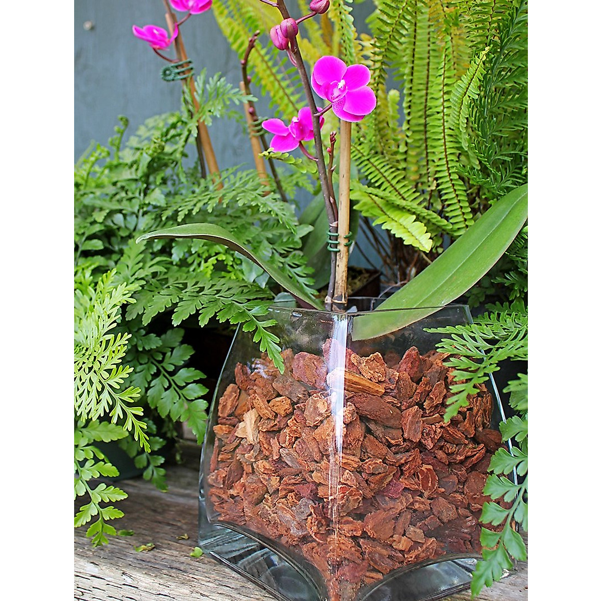 SuperMoss (23114) Orchid Potting Bark, Natural, 4 quarts