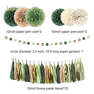 AOBKIAT Sage Green Wedding Party Decorations,28 PCS Tissue Paper Pom Poms,Circle Dots Garland Paper Tassels Hanging Backdrop for Girl Women Birthday,Bridal Baby Shower,Boho Wedding Party Supplies