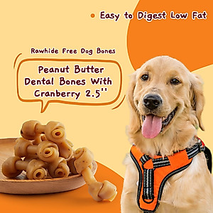 Jungle Calling Peanut Butter Dog Treats, Dental Chews for Dogs, Rawhide Free Dog Bones 2.5'' for Small Dogs