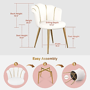 FiveWillowise Living Room Chairs, Mid Century Modern Accent Chair, Preppy Dining Chair, Upholstered Velvet Chair with Gold Legs, Cute Vanity Chair with Back for Bedroom, Study, Waiting Room, Beige