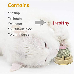 2 pcs Catnip Balls, Pure Natural Mint Leaf Rotating Interactive Cat Toys, Cat Removal Hairball Toys Can Be Sticky On Wall, Teeth Cleaning Catmint Toy for Cat, Kitten, Kitty Playing Chewing
