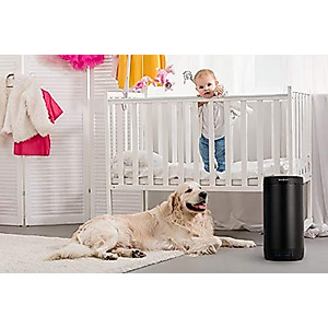 Safe+Mate - True HEPA Air Filter Replacement Covers 500 sqft