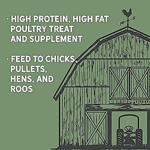 New Country Organics | Flock Perfect Chicken Dance Grubs for Chickens | 3.5 lbs