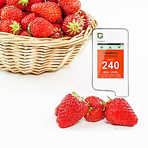 Greentest Drinking Water Quality Tester TDS Meter Analyser PPM + Food Digital Detector Nitrate Tester for Fruit,Vegetable,Meat Water and Fish