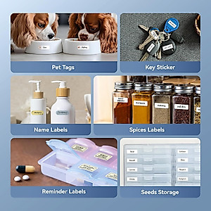 DEEPIN Label Maker Machine D101 Bluetooth Label Maker with Tape, 0.4-1 Inch Print Width Thermal Label Printer Portable for Business, School, Office Organization, Home Storage, White