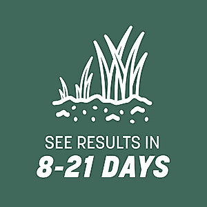 Pennington Kentucky 31 Tall Fescue Penkoted Grass Seed 3 lb, Green