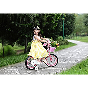 RoyalBaby Jenny Princess 20 Inch Kids Bike with Enclosed Chain Guard, Kickstand, Basket, Bell and Tool Kit for Ages 7 and Above, Pink EL
