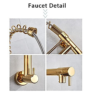 Kitchen Sink Faucet for Bar Farmhouse Commercial, Golden/Brushed Nickel/Chrome Spring Kitchen Faucet, Swivel Side Sprayer Dual Spout Kitchen Tap, 360 Rotation Kitchen Sink Cold Water Faucet (Color :