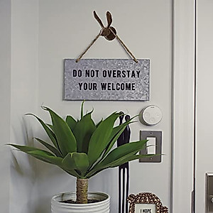 First of a Kind Cast Iron Hooks - Decorative Wall Hooks for Coat - Antique Rustic Wall Mounted Coat Hooks - Perfect for Coats, Bags, Hats, Hanging Decor, & Towels, (Rustic Rabbit)