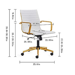 Hioryllks White Gold Office Chair White Gold Office Desk Chair Modern Office Chair Ergonomic Cute Desk Chair (3011 Gold White)