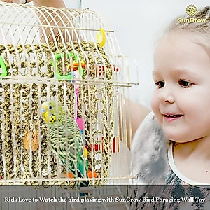 SunGrow Bird, Small Animals & Rabbit Foraging Wall Chew Toy with Hanging Hook, Seagrass Woven Mat with Colorful Wooden Blocks, Grind Teeth