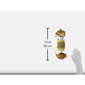 Prevue Pet Products Naturals Hide & Seek Foraging Bird Toy 62815